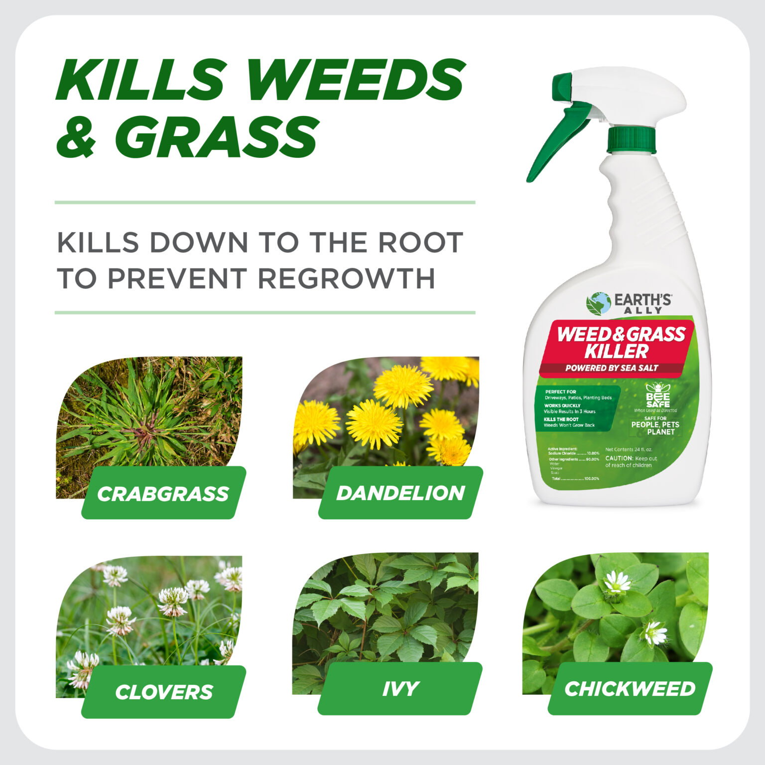 Natural Grass & Weed Killer 24 fl. oz. Ready-to-use | Earth's Ally