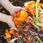 Advantages of Trench Composting vs. Conventional Composting