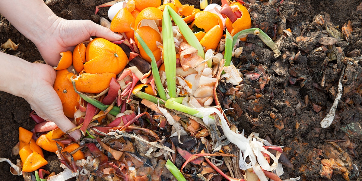 Advantages of Trench Composting vs. Conventional Composting