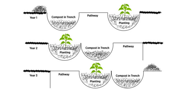 Advantages of Trench Composting vs. Conventional Composting