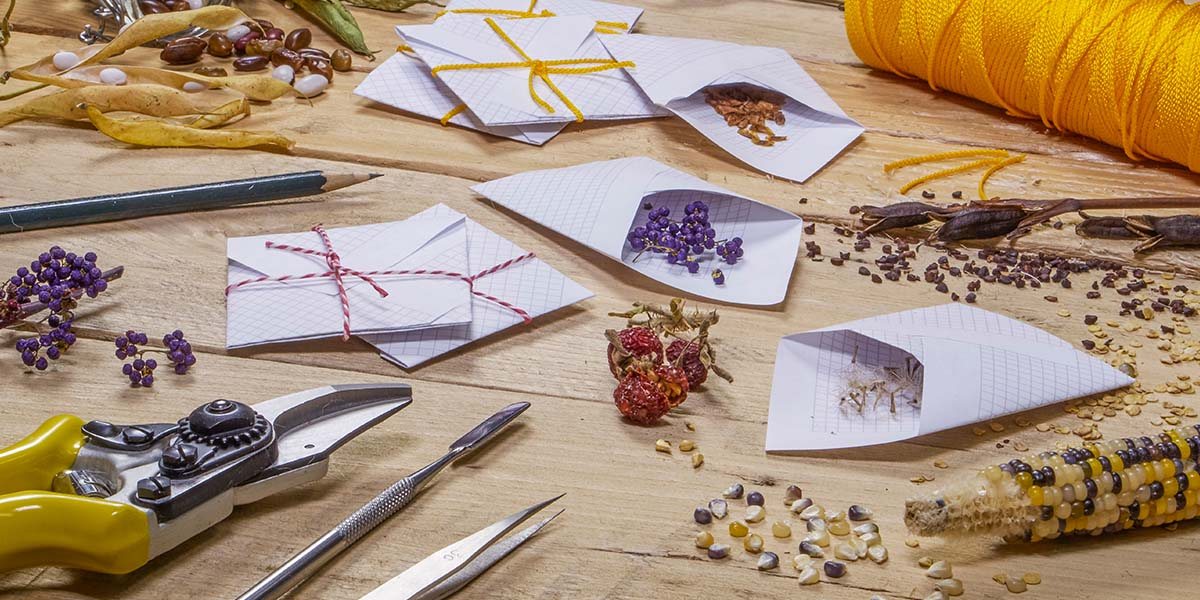 Garden Seed Storage and Seed Saving - Earth's Ally