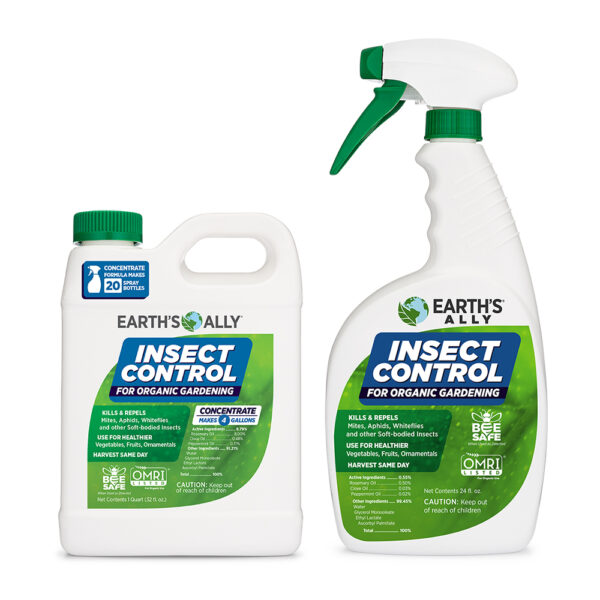 Natural Pest Control: 5 Herb Plants to Keep Insects Away