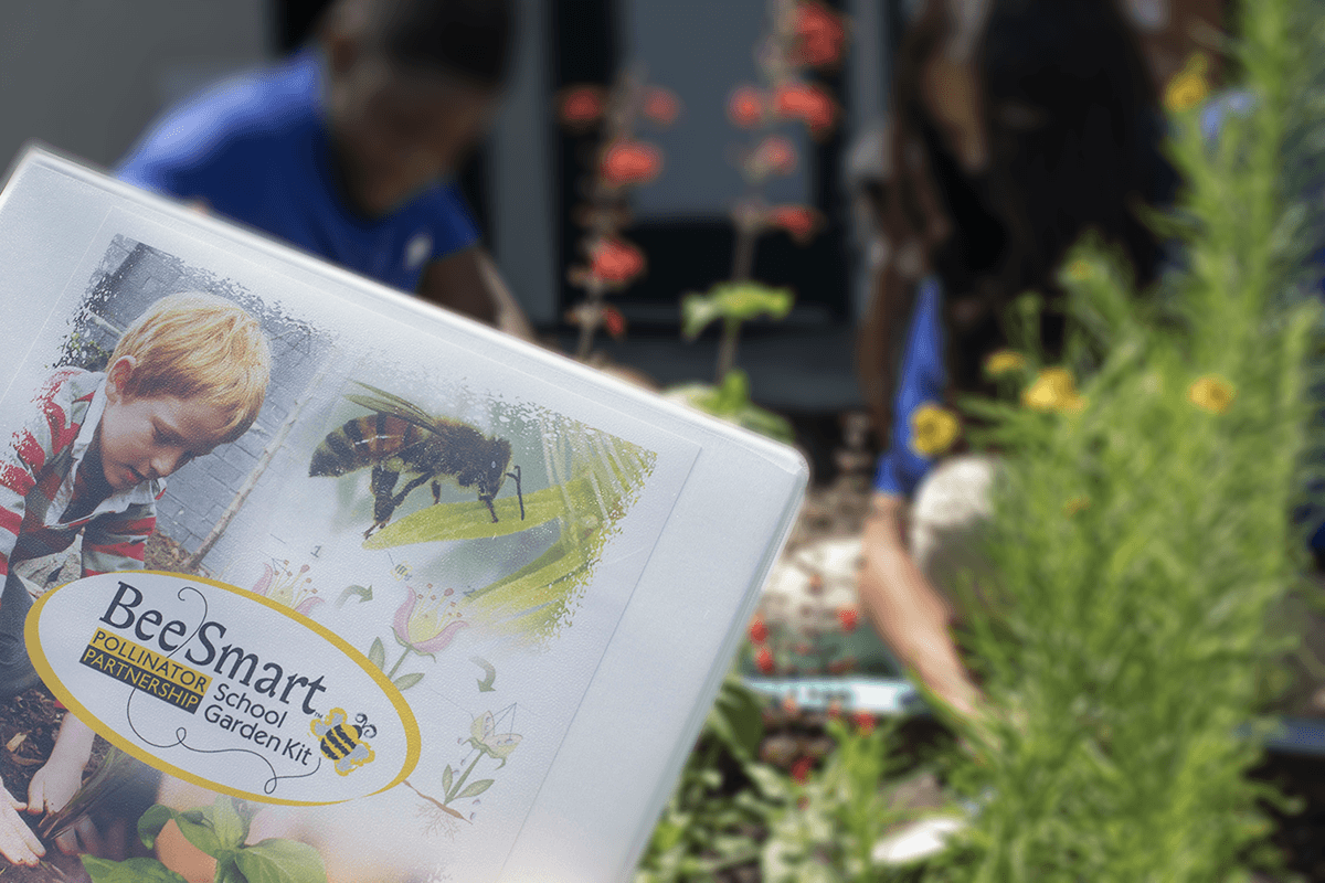 Bee Safe Pesticides | Bee Conservation