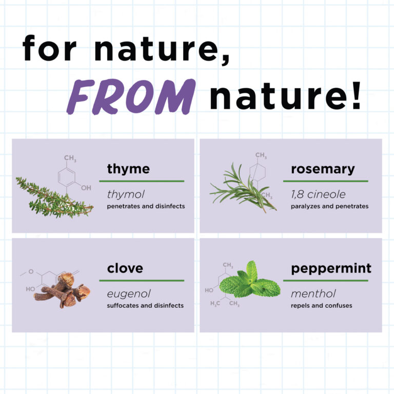 3-In-1 Plant Spray Insecticide, Miticide and Fungicide 1 Qt ...